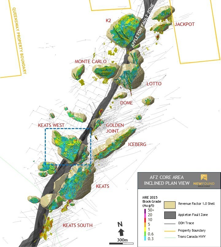 New Found Gold Expands and Confirms Continuity of High-Grade Gold ...