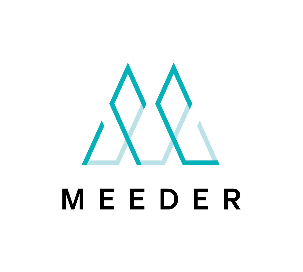 Meeder Advisory Services Launches Artificial Intelligence (AI ...
