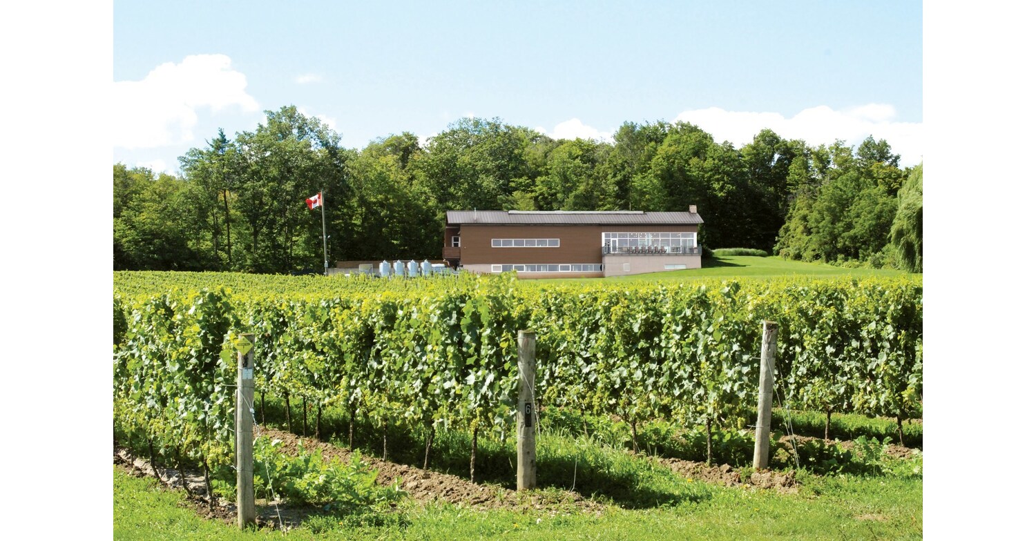Fielding Estate Winery is back as the Official Sparkling Wine & Cider ...