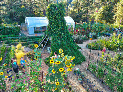 Nature's Path Organic Foods Announces Its 2025 Gardens for Good: Plant ...