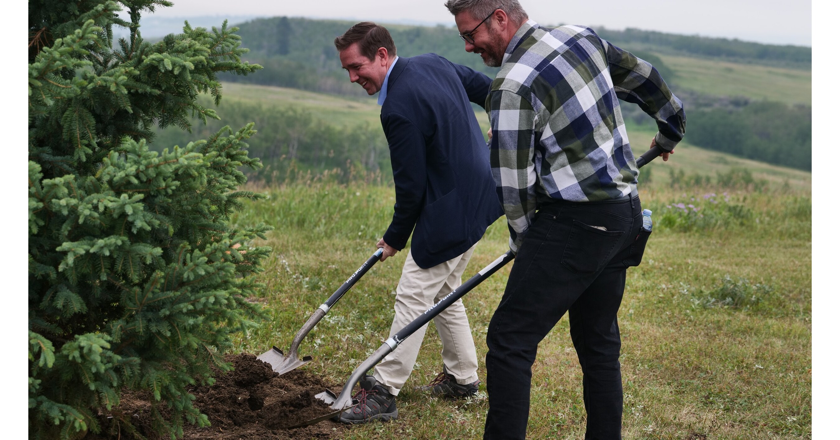 Regrowing Alberta's Forests