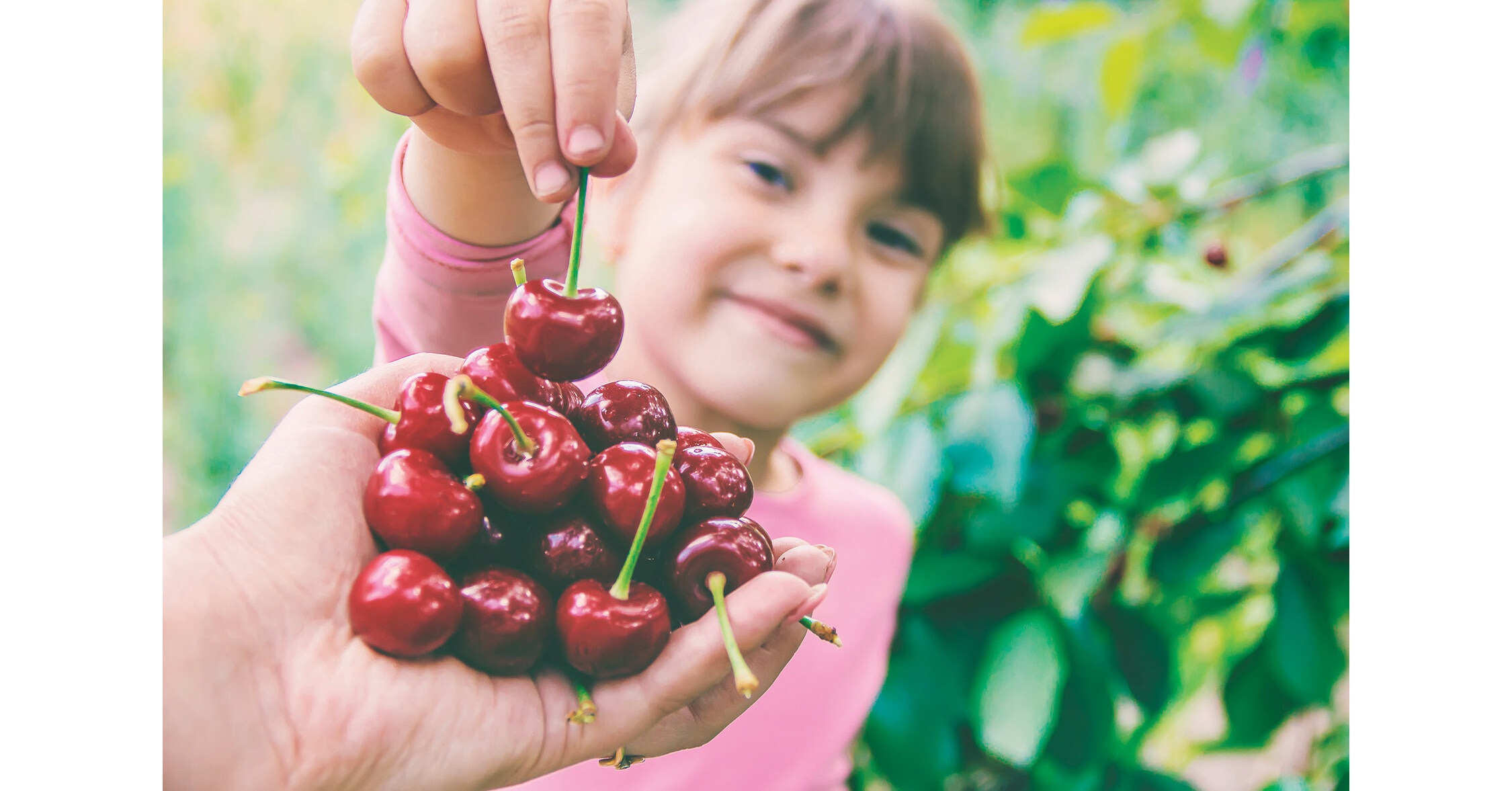 Choose Fresh Cherries for Healthy and Sweet Back-to-School Snacking