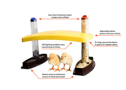 "Cozy Chickens Unveils the Brooder Habitat: Comfort, Safety, and Convenience for Raising Happy ...