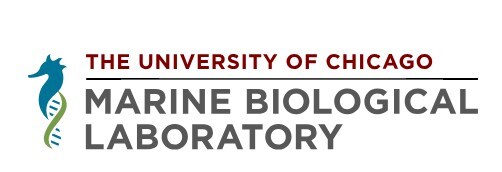 MBL Announces Largest Ever Gift for Its Renowned Biological Education ...