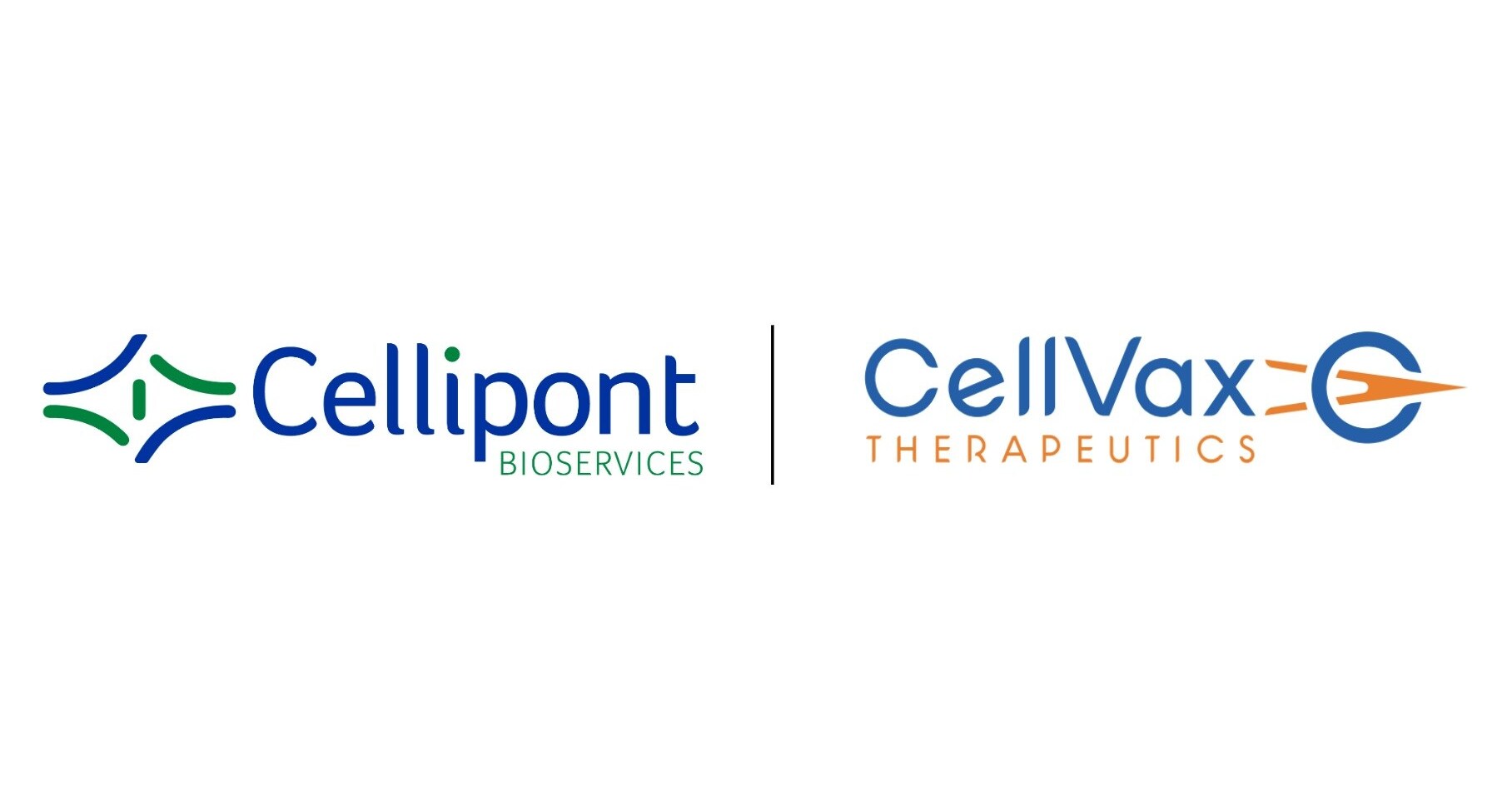 Cellipont Bioservices and CellVax Therapeutics Expand Partnership to ...
