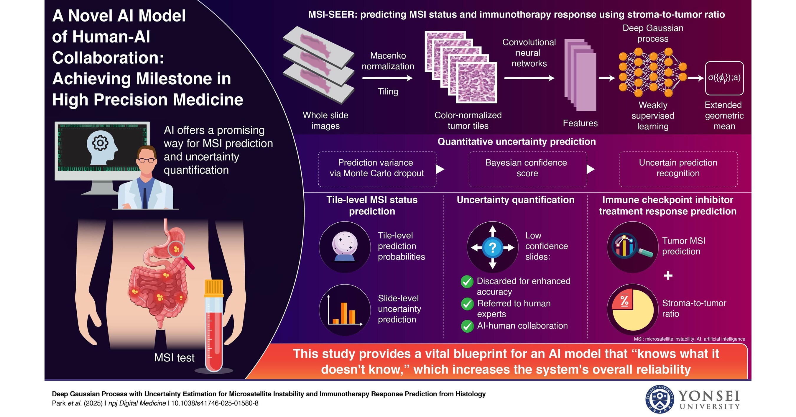 Yonsei University Researchers Develop Deep Learning Model for Microsatellite Instability-High ...
