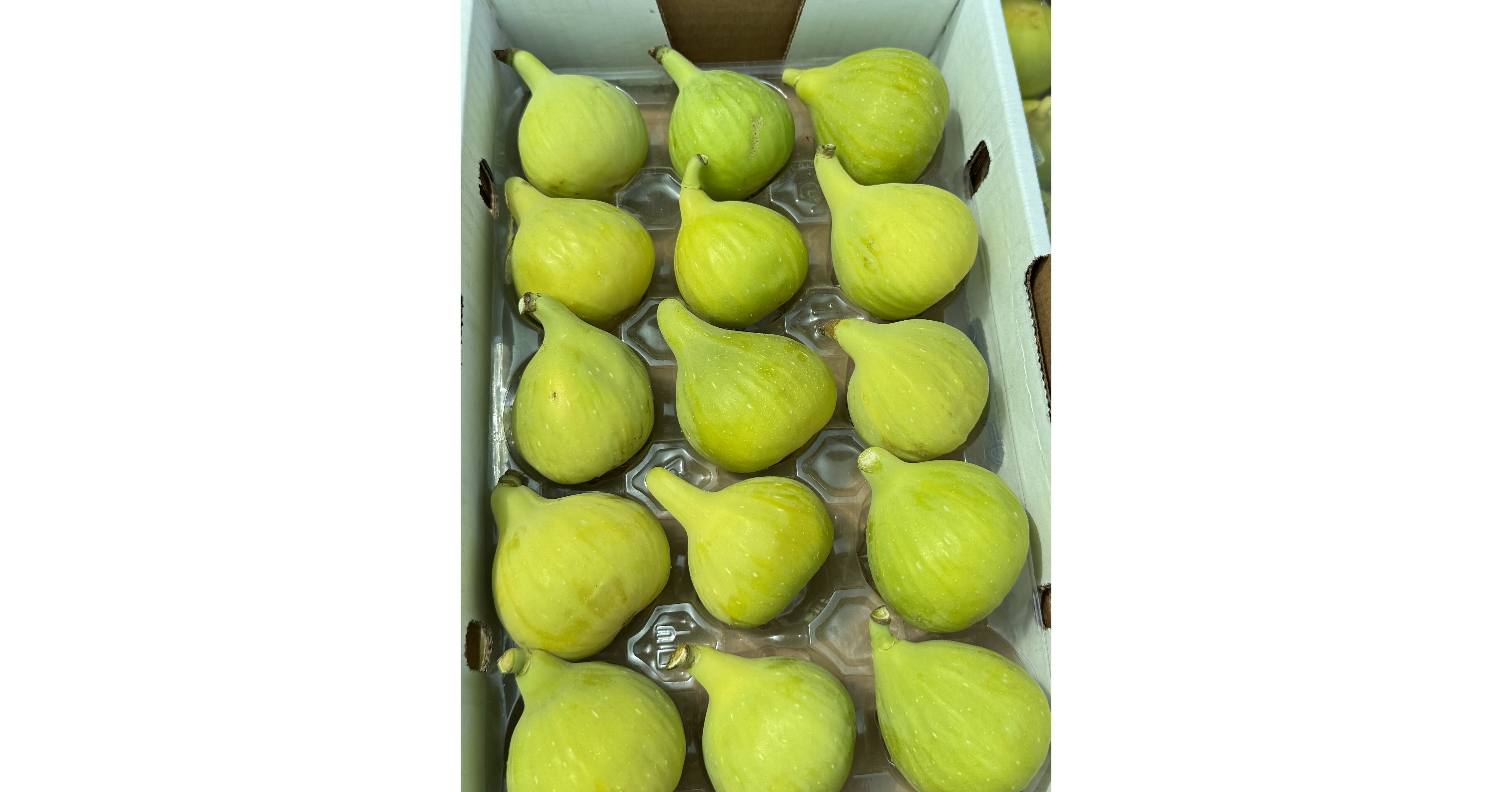 2025 CALIFORNIA FRESH FIG SEASON IS OFFICIALLY UNDERWAY