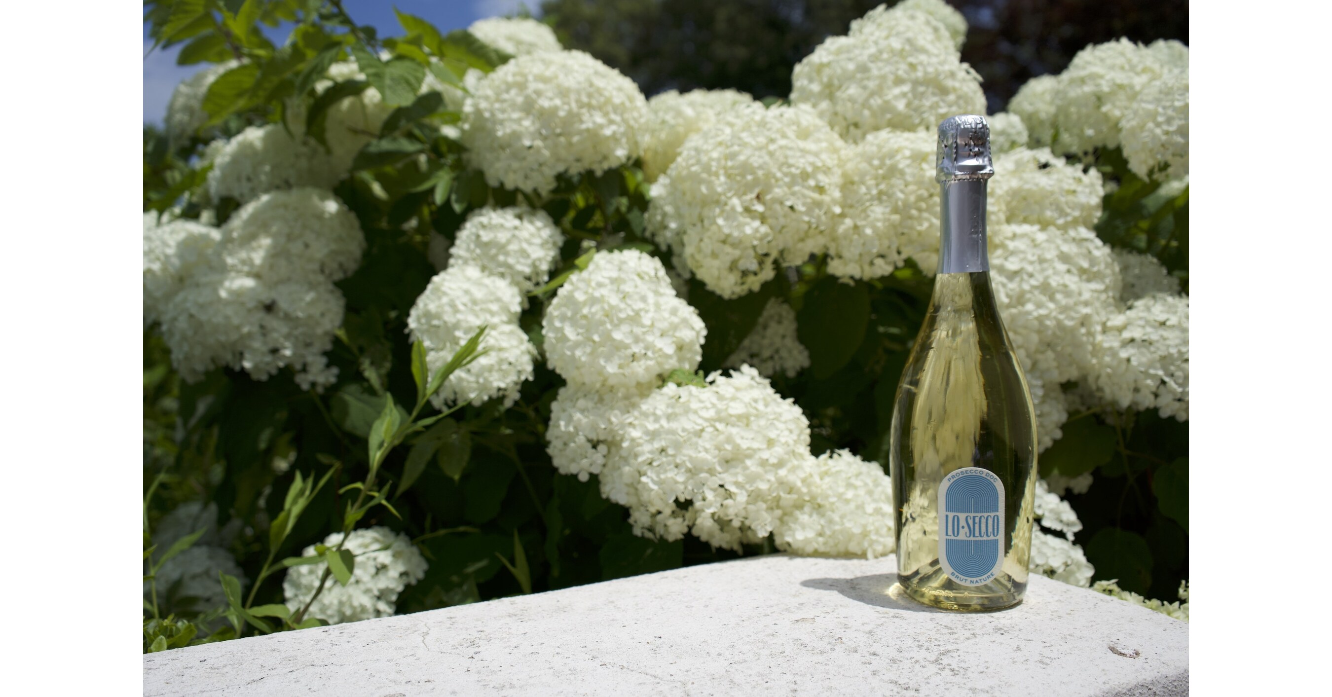 Lo Secco Prosecco DOC, Brut Nature: Zero-Sugar, Low-Carb, Vegan ...