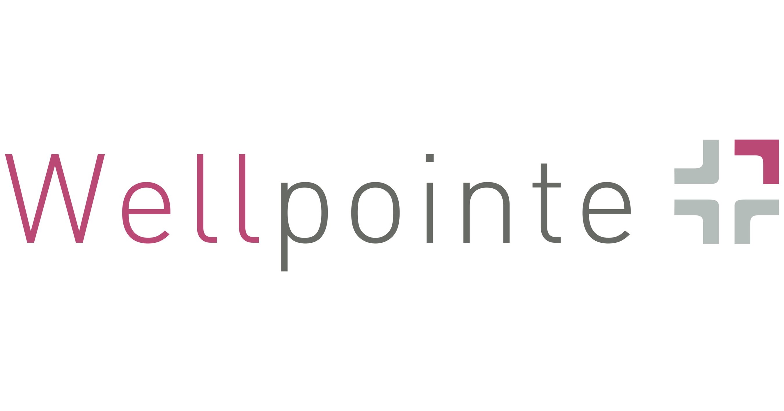 Wellpointe Inc. Named to the 2025 Inc. 5000 List of America's Fastest ...