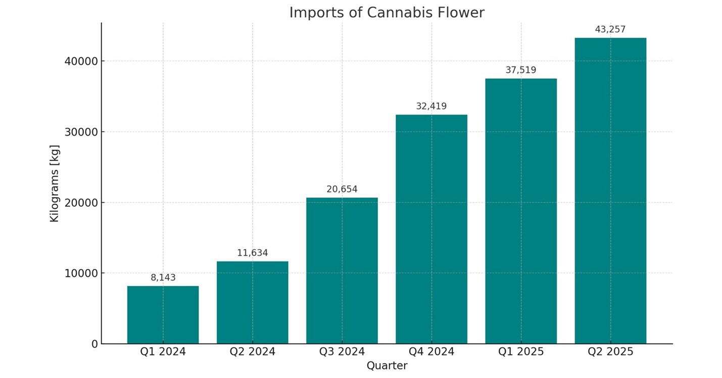 High Tide to Become Major Player in German Medical Cannabis Market ...