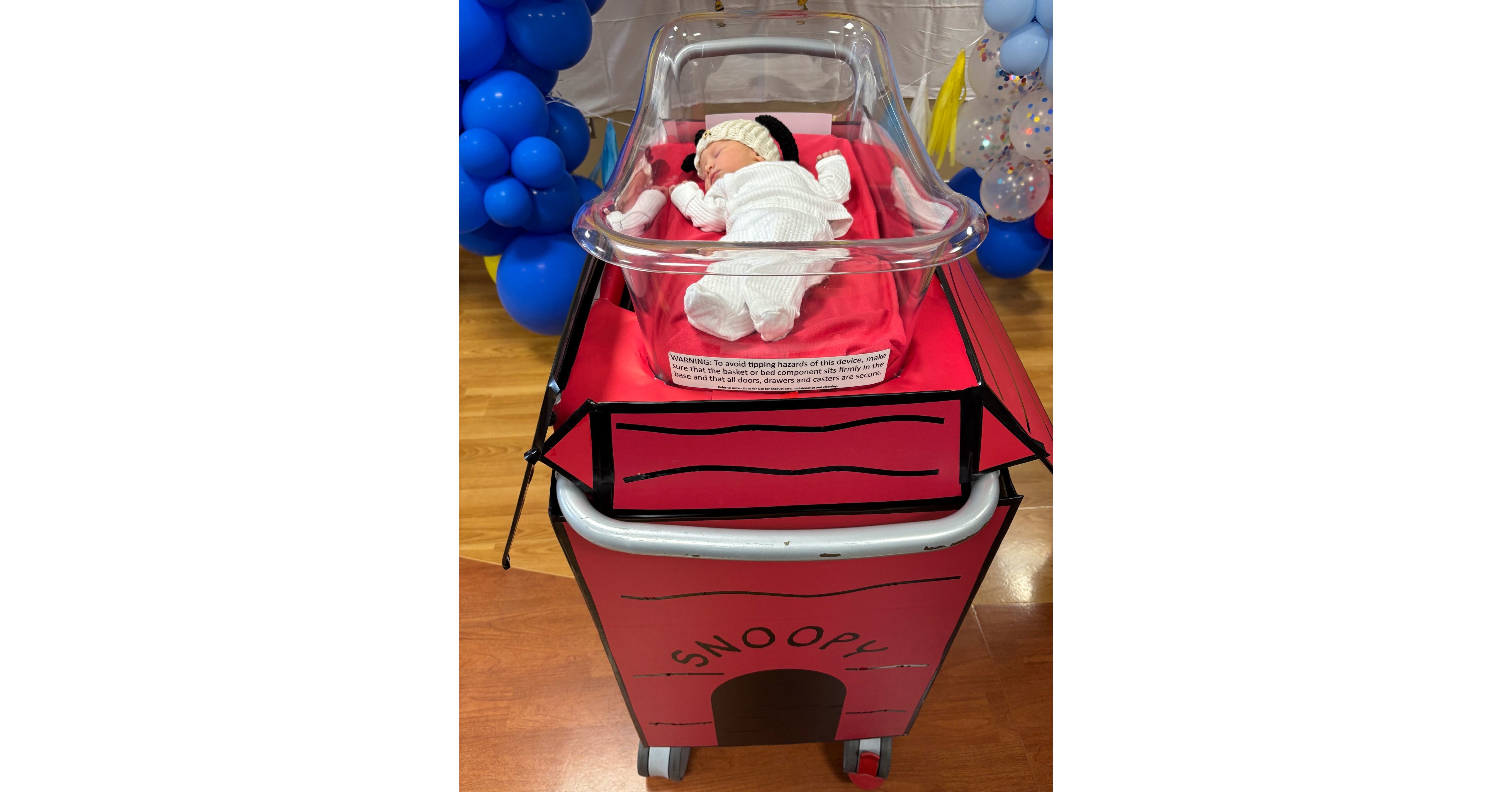 'It's a baby, Charlie Brown!': Newborns at AHN West Penn Hospital in ...