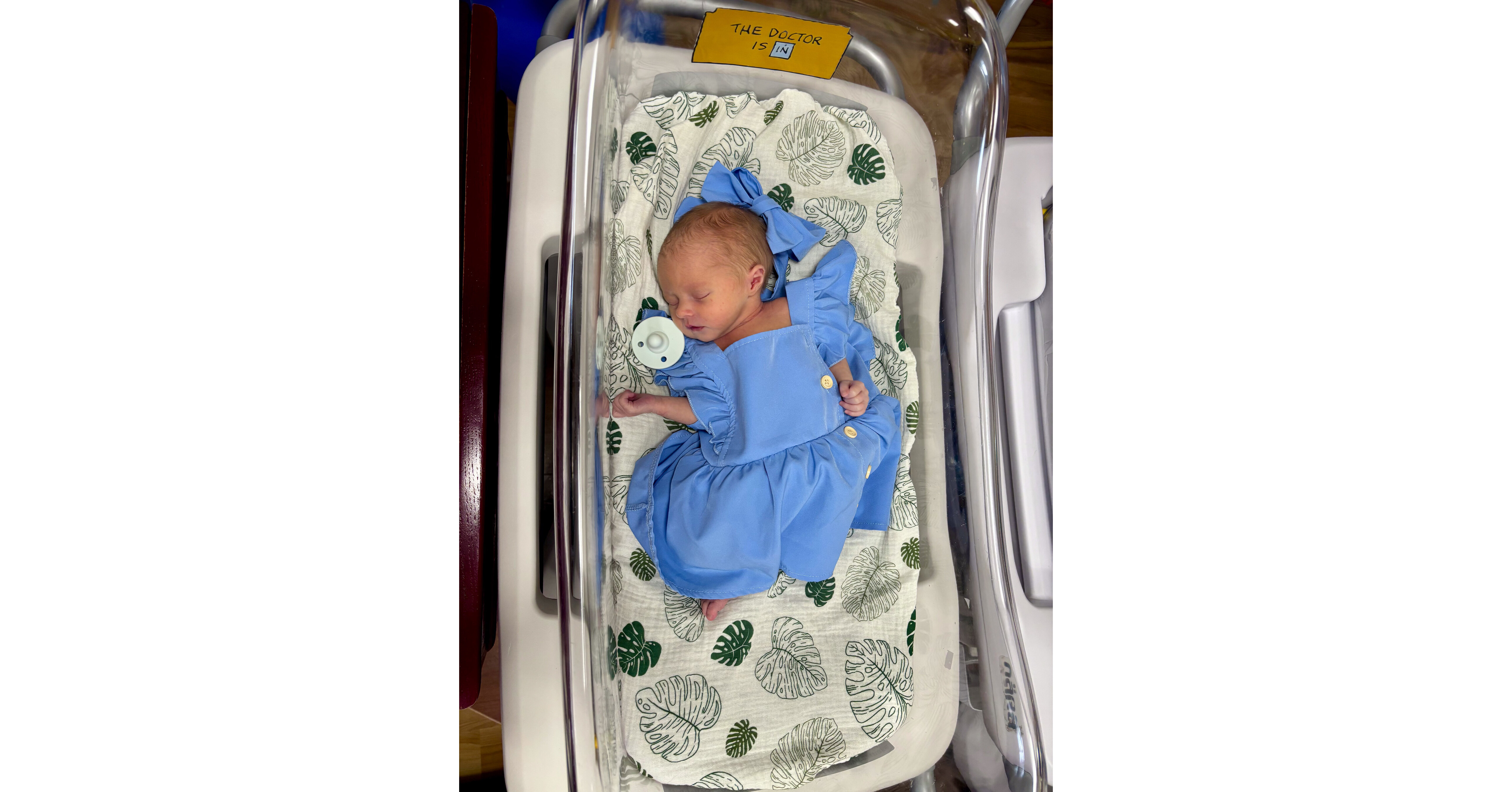 'It's a baby, Charlie Brown!': Newborns at AHN West Penn Hospital in ...