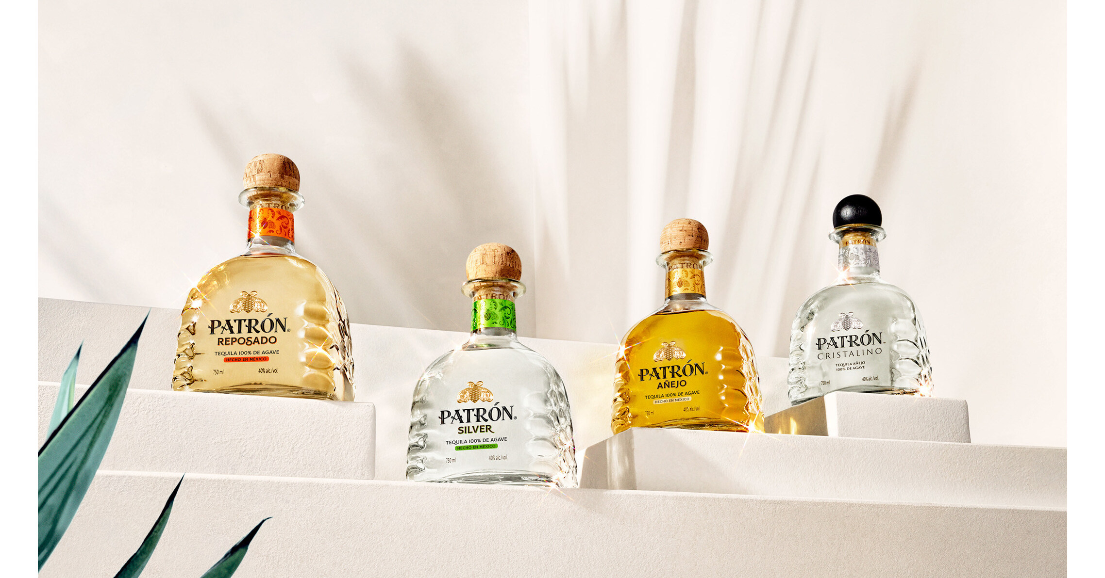 difference between patron and tequila