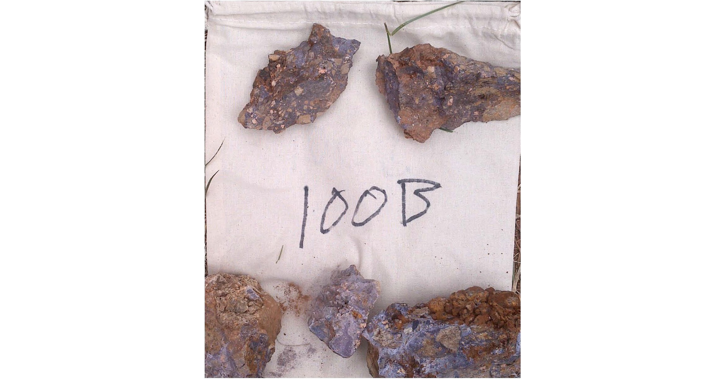 Black Mammoth Metals Acquires the Gallinas Rare Earth Elements Property ...