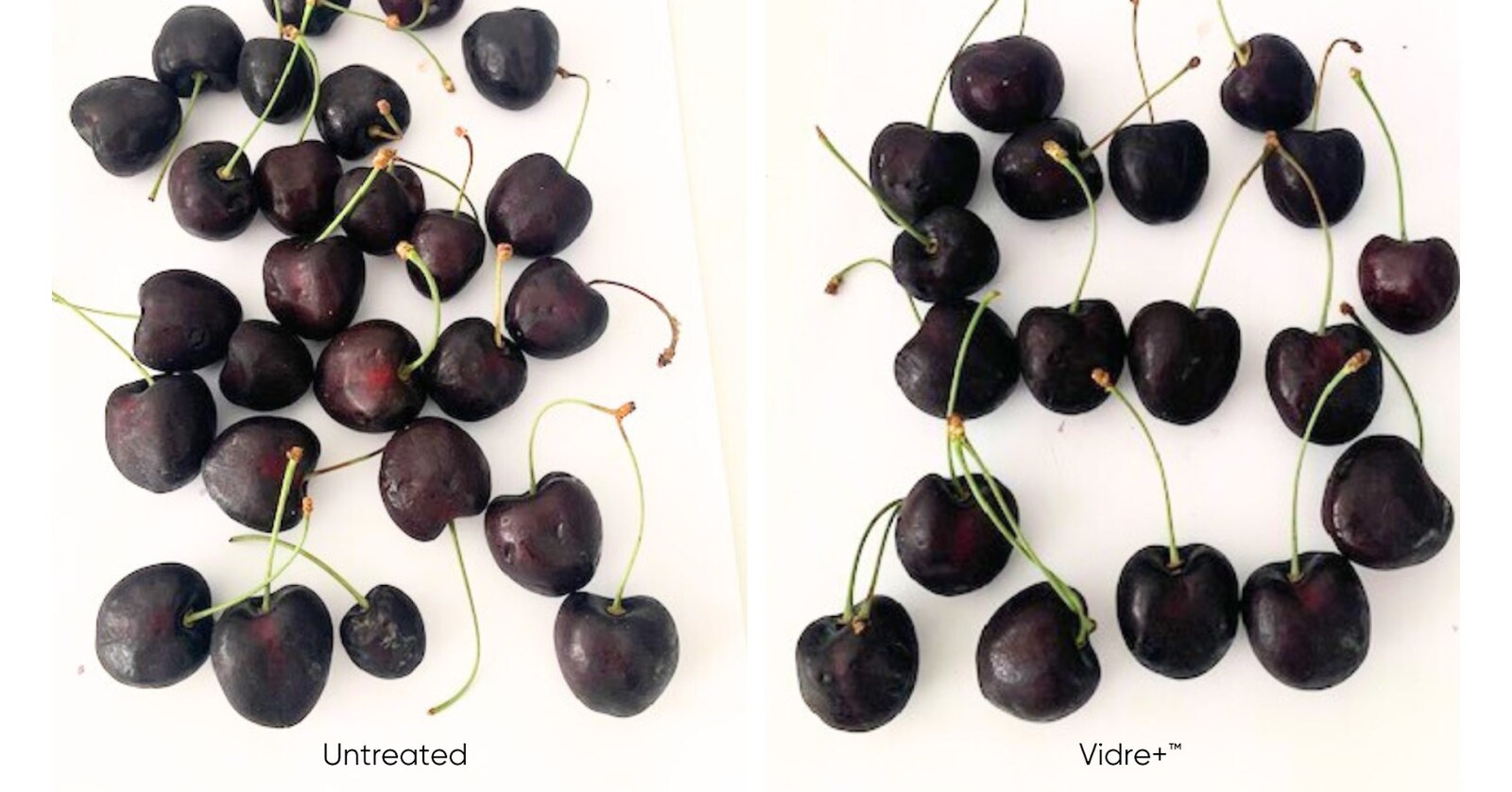 Too Good to Waste. Innovation from Fresh Inset Could Help Sweet ...