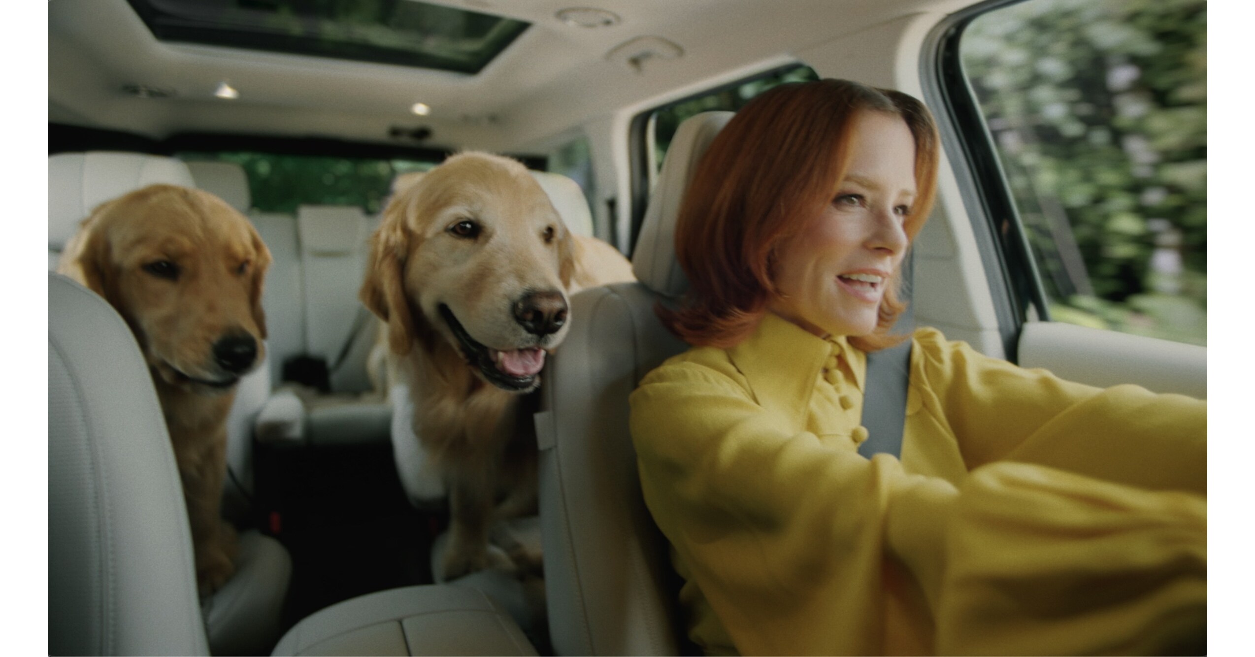 Hyundai's New Ad Campaign with Parker Posey Proves the All-New Palisade Really Is "All That And ...