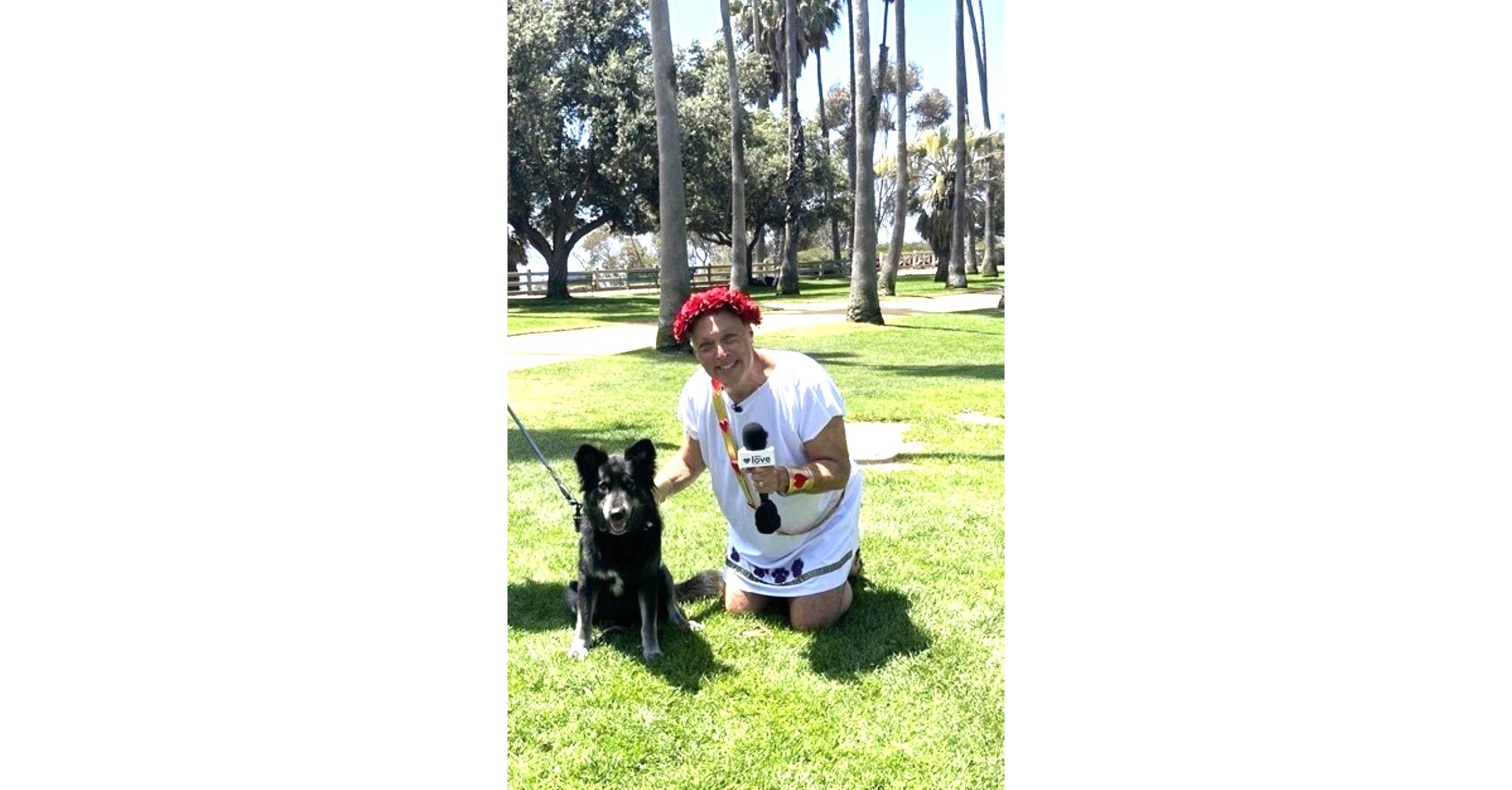 Off-Season Cupid Searches for Love Stories of Adopted Pets from Coast ...