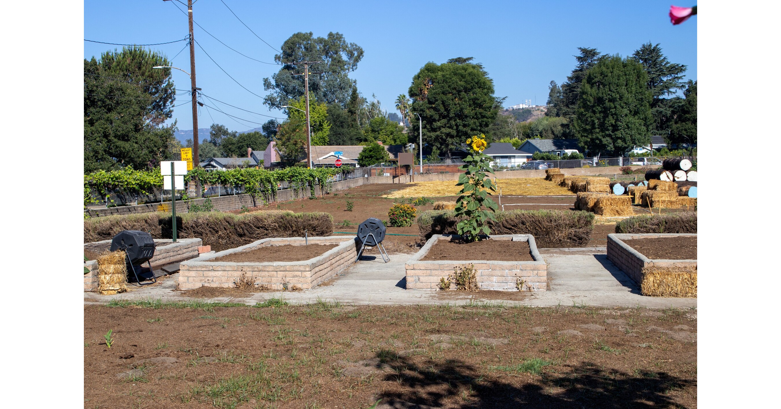 Hope Emerges from the Ashes for the Altadena Community Garden Thanks to ...