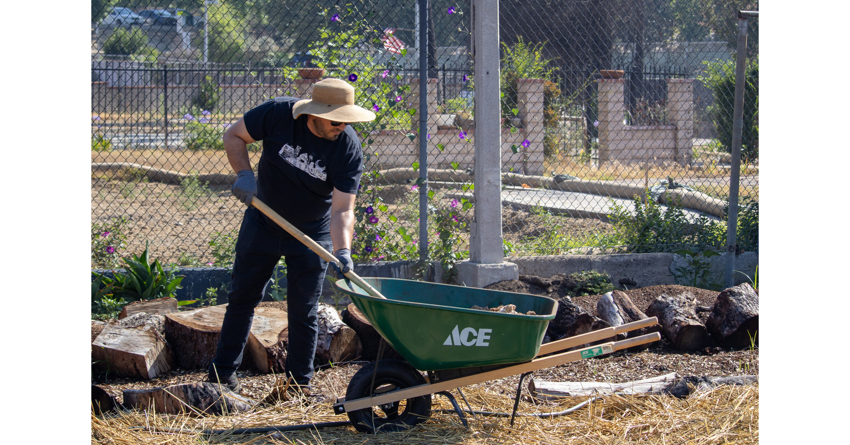 Hope Emerges from the Ashes for the Altadena Community Garden Thanks to ...