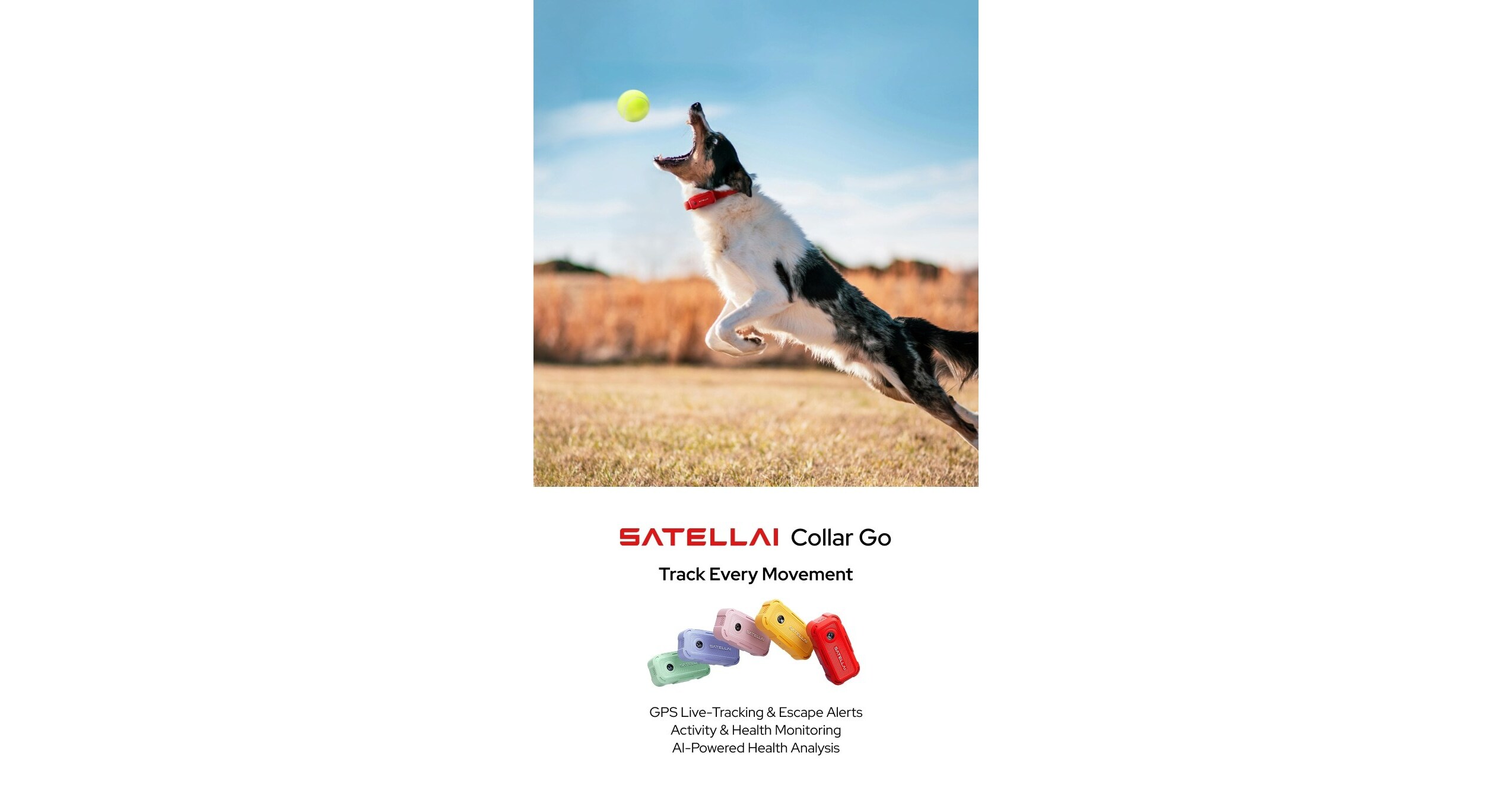 SATELLAI annonce le Collar Go, un collier GPS avec analyse de santé par ...
