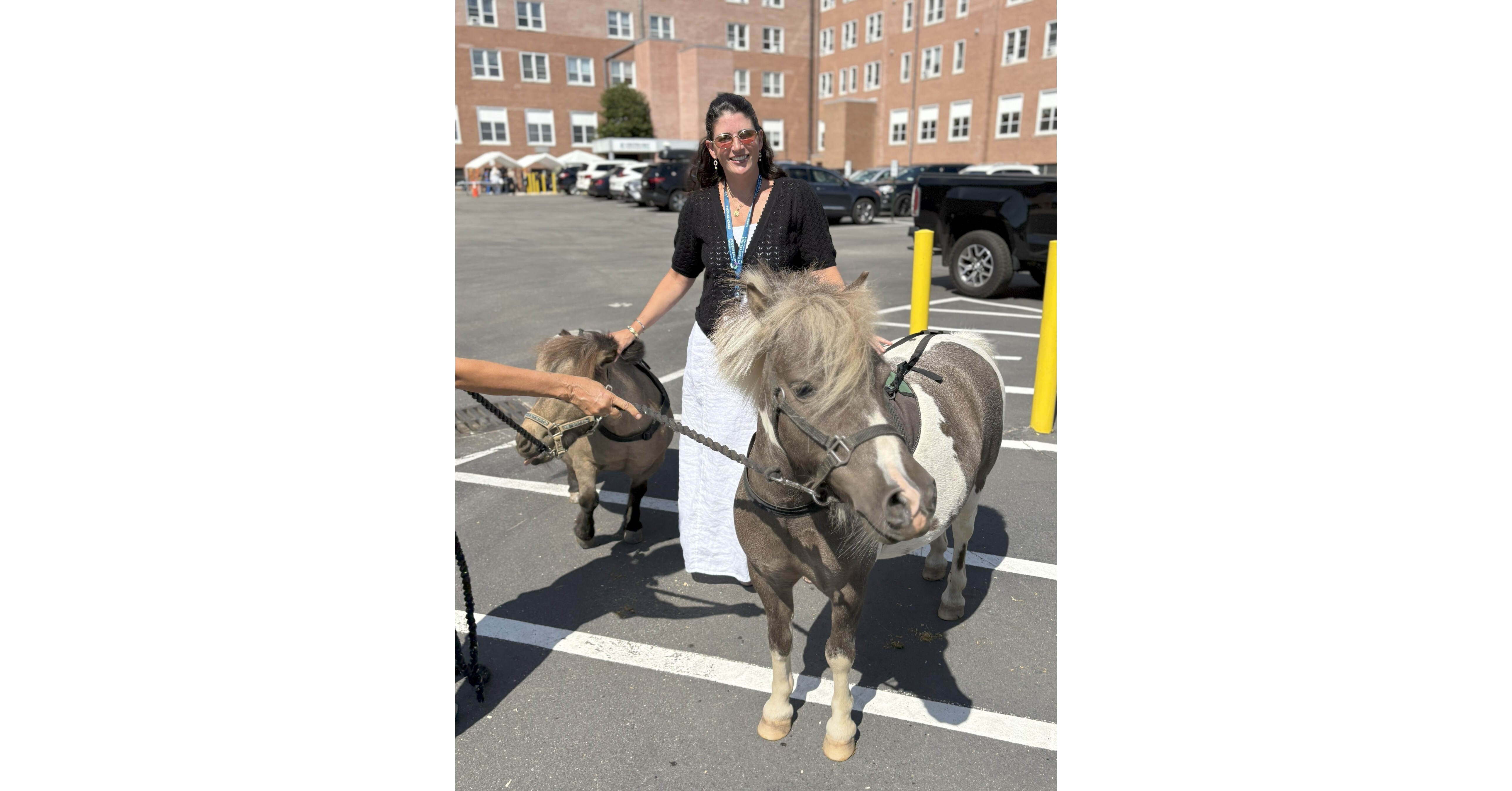 CenterLight PACE Participants Enjoy a Heartwarming Visit with Therapy ...