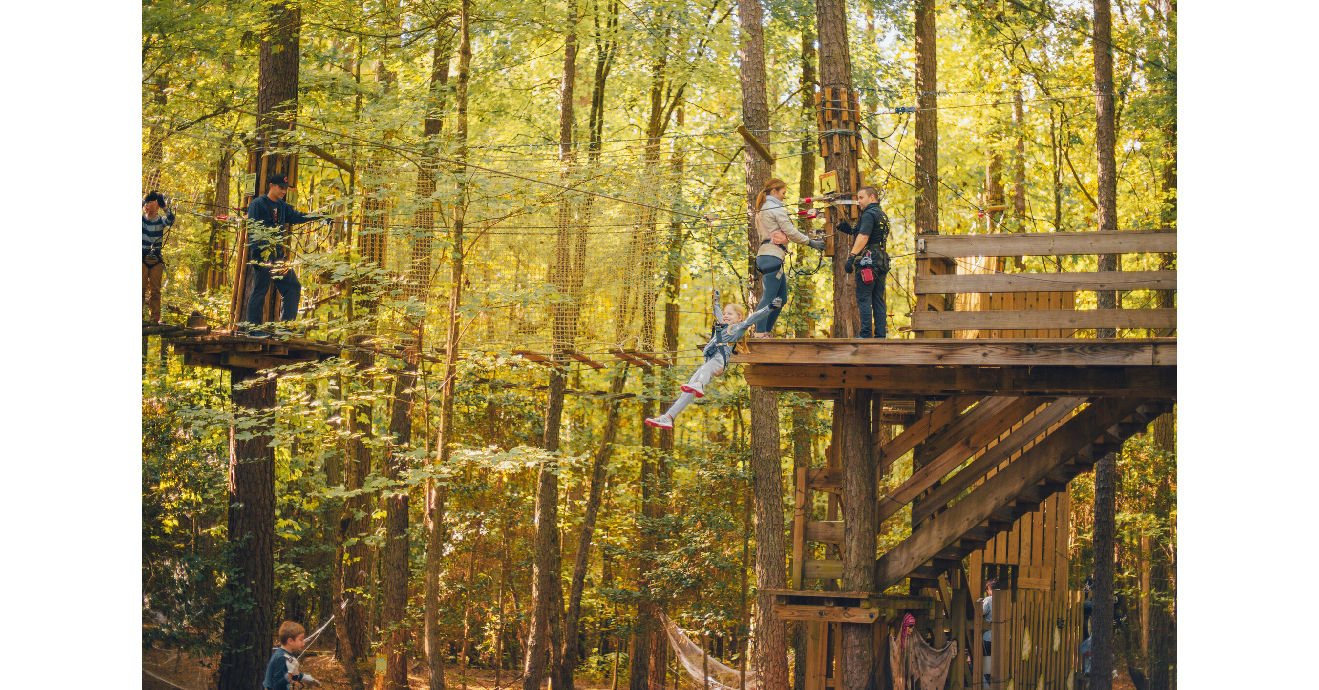 Fall Foliage Meets Fearless Fun: Go Ape Launches Fall and Nighttime ...