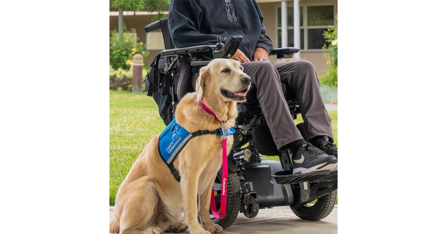 Eukanuba Celebrates National Service Dog Month, Chosen for Service with ...