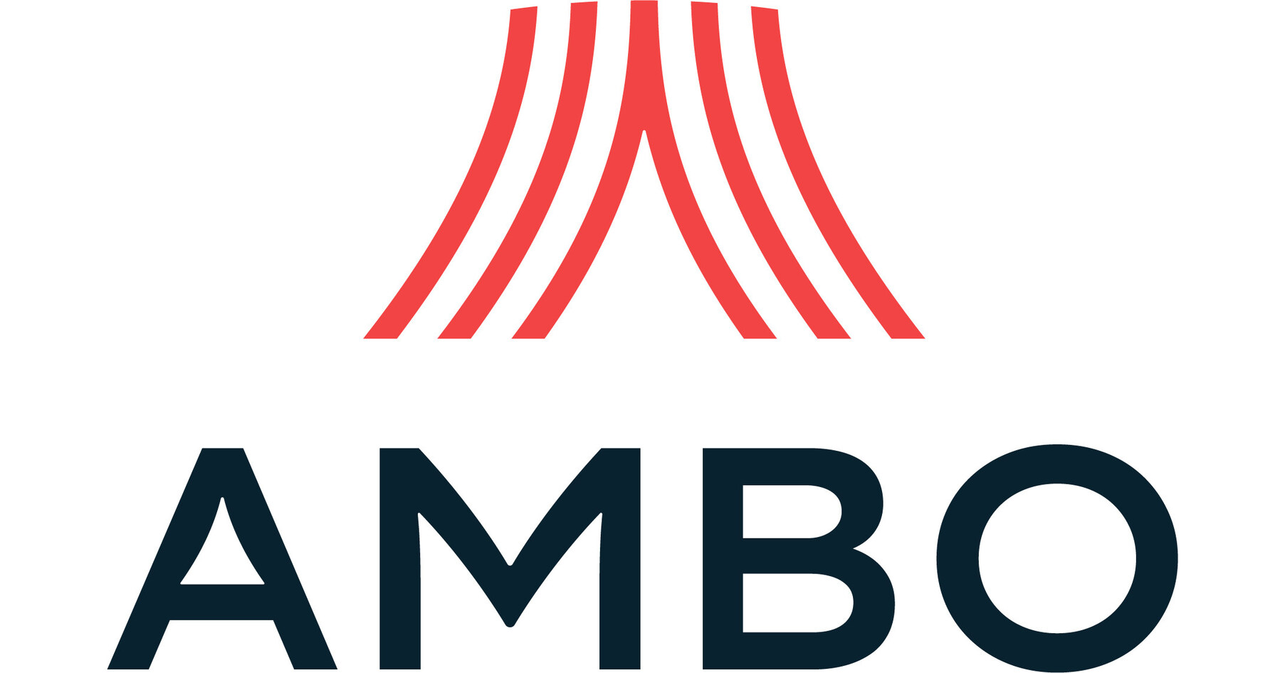 Former U.S. Ambassador Roger Nyhus Launches International High-Stakes ...