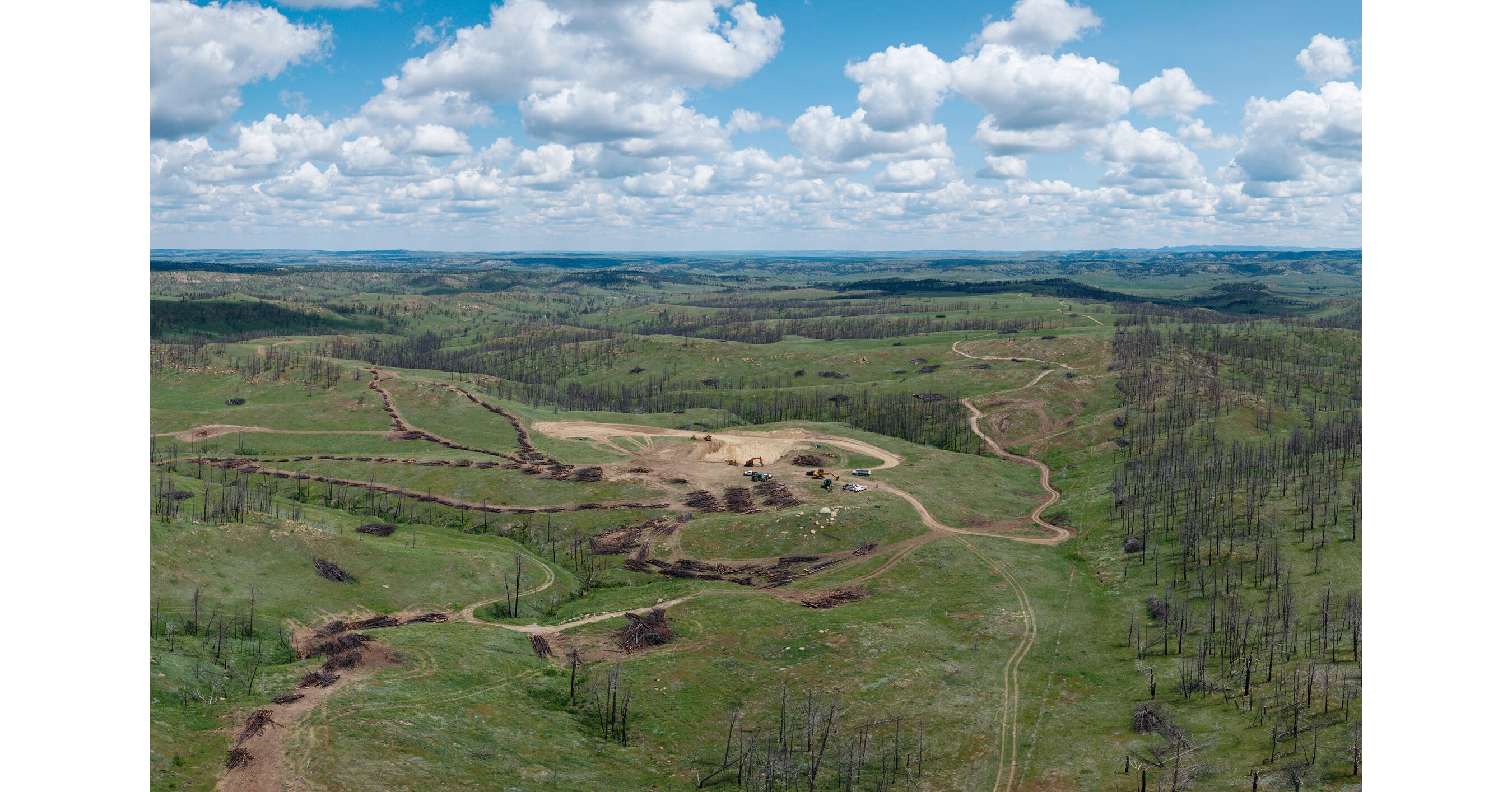 Mast Reforestation Completes Innovative Post-fire Carbon Removal ...