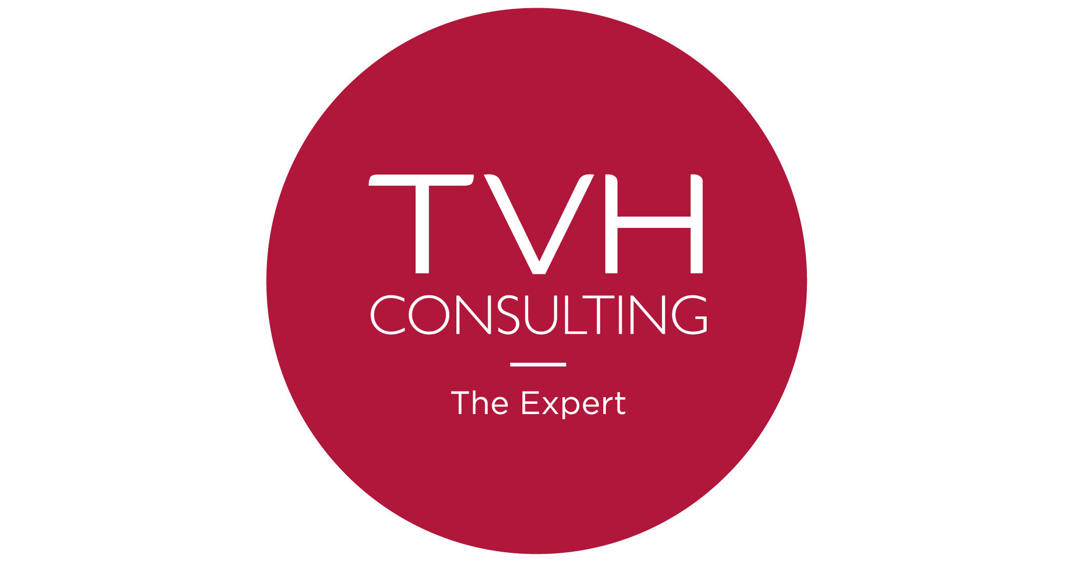 TVH Consulting strengthens its leadership with three new acquisitions