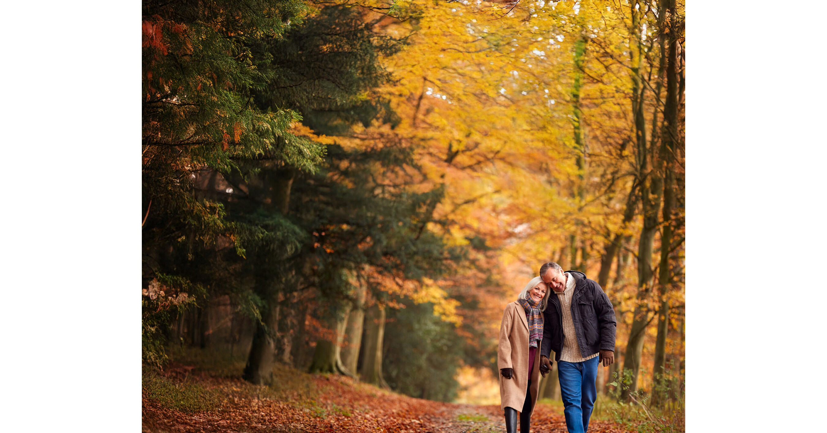 Coastal Charm, Flavors & Fall Foliage Await with the 2027 Canada & New ...