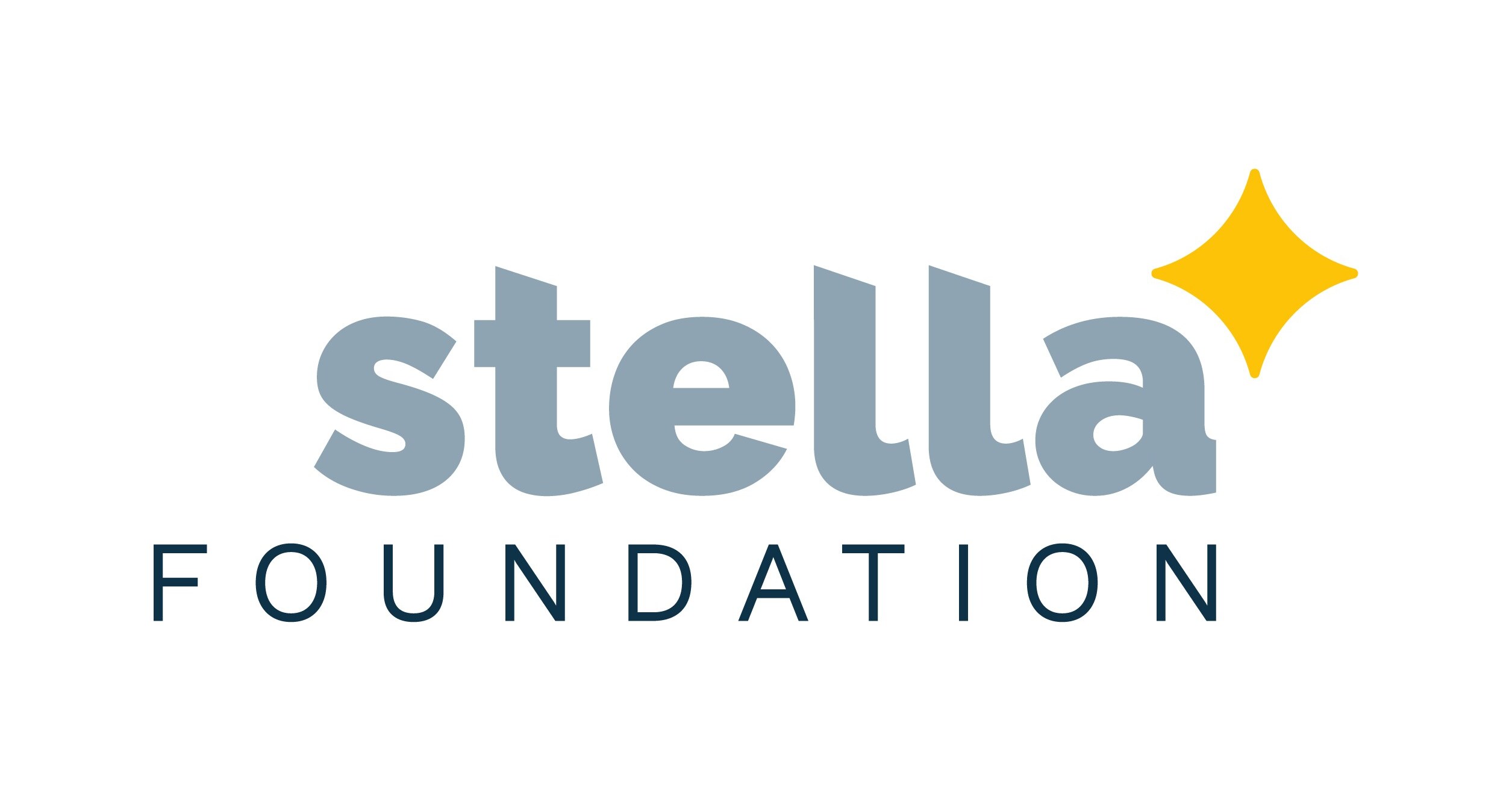 Stella Foundation Announces 12th Annual Women's Venture Summit: A Bold ...