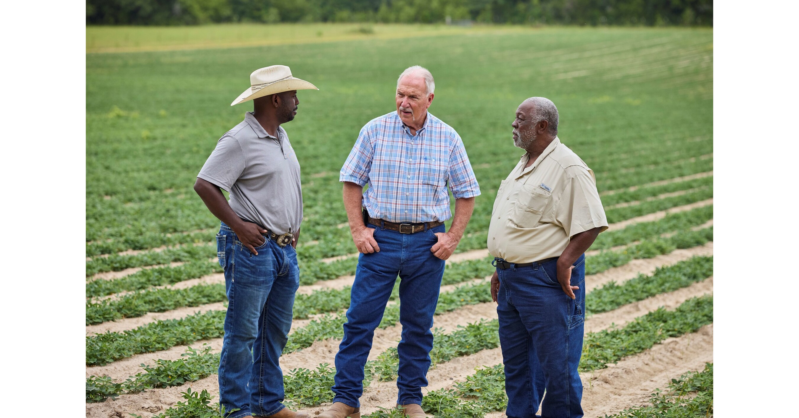 Kellanova and ADM Regenerative Agriculture Program Improves Soil Health ...