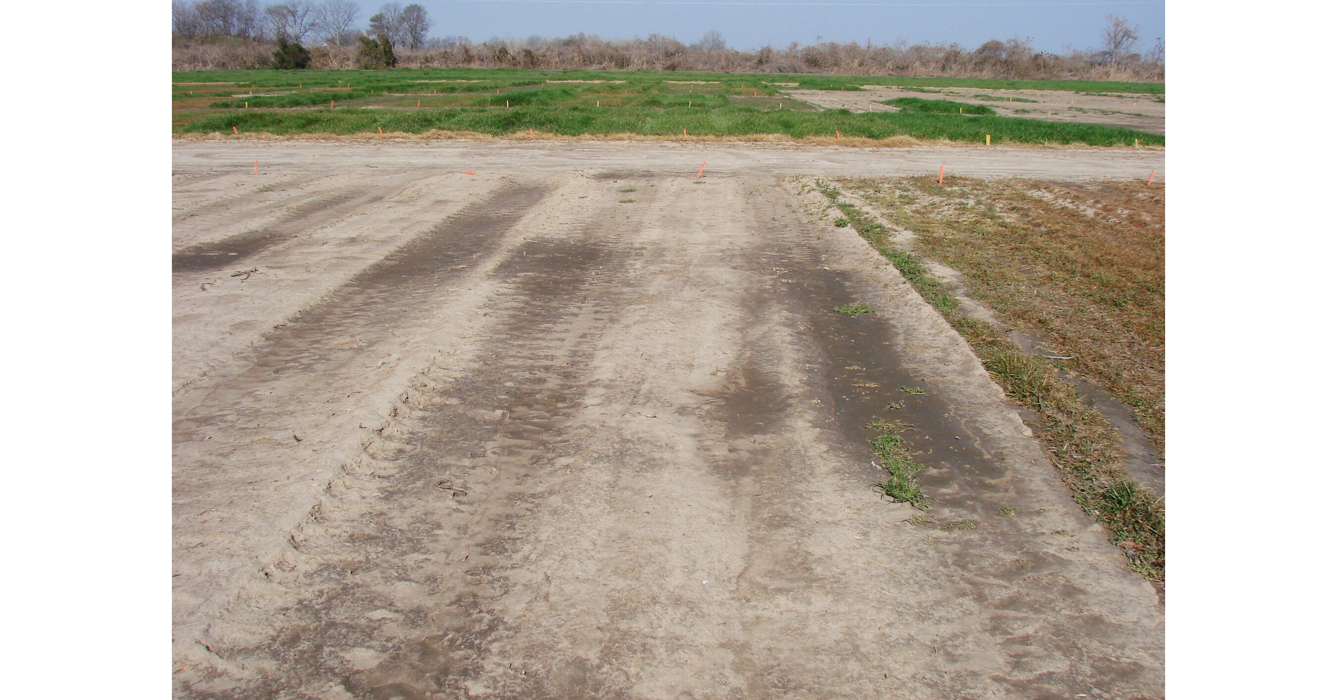 Fall-applied Residuals Repel Resistant Italian Ryegrass