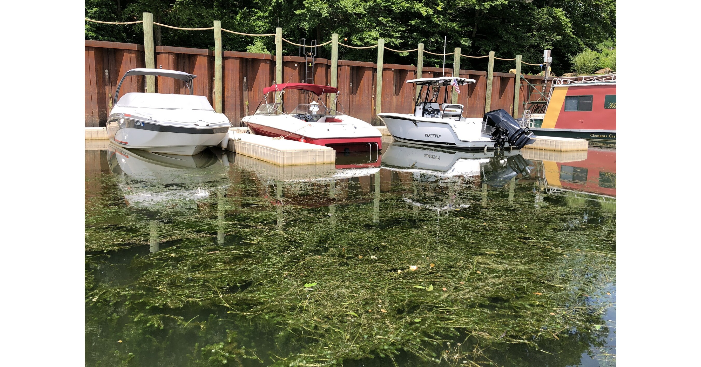 WSSA and APMS Urge Army Corps for Renewed Aquatic Plant Control Program ...