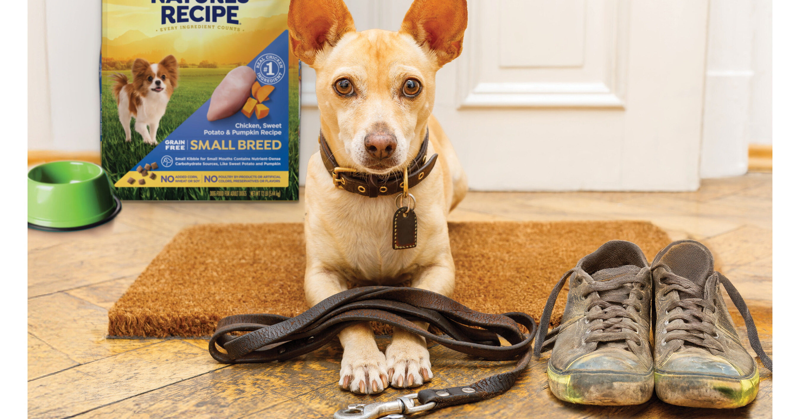Nature's Recipe™ Rewards Dog Parents During Walk Your Dog Week