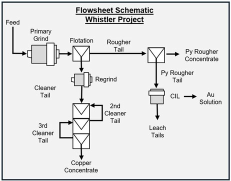 flotation copper concentrate