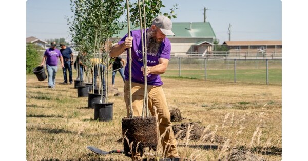 TELUS franchit le jalon historique des 25 millions d'arbres plantés ...