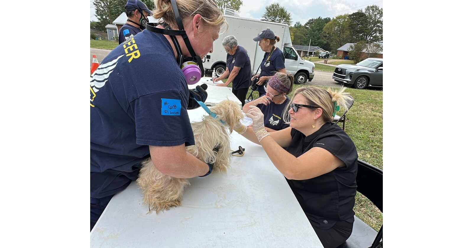 Animal Rescue Corps rescues 57 dogs from backyard breeder in Lexington ...