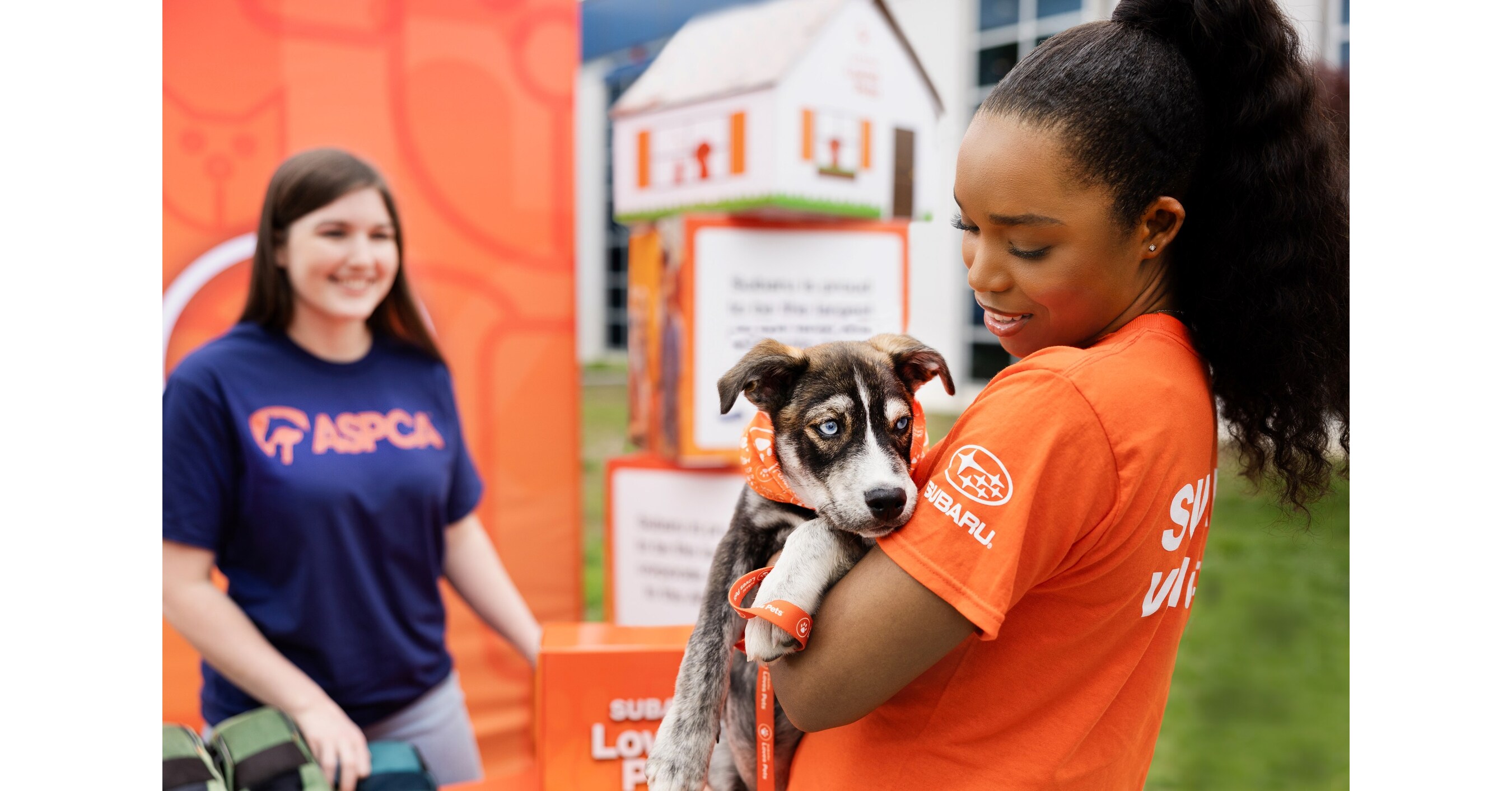 SUBARU COMMITS $3.1 MILLION TO HELP SHELTER ANIMALS THIS OCTOBER ...