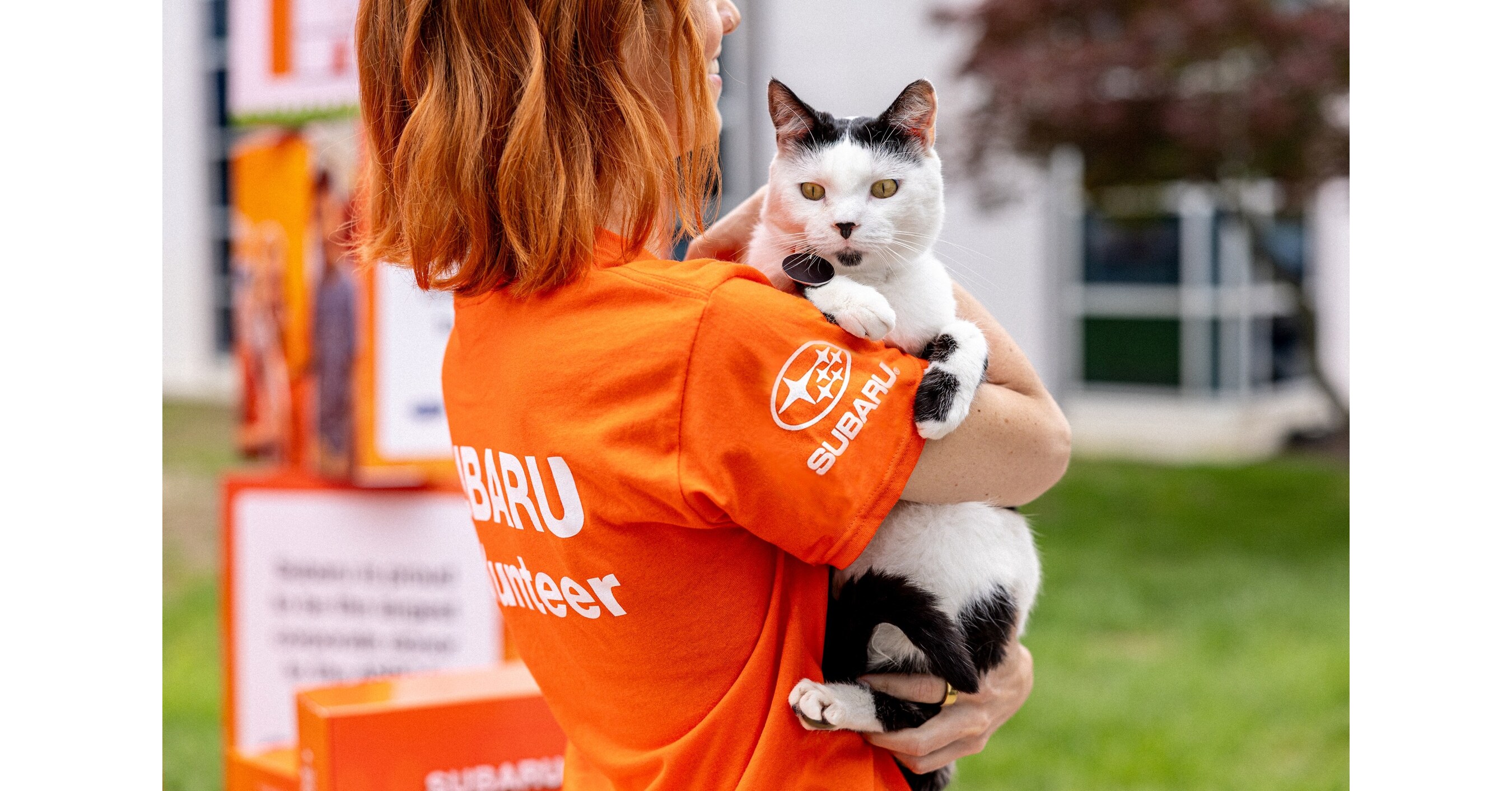SUBARU COMMITS $3.1 MILLION TO HELP SHELTER ANIMALS THIS OCTOBER ...
