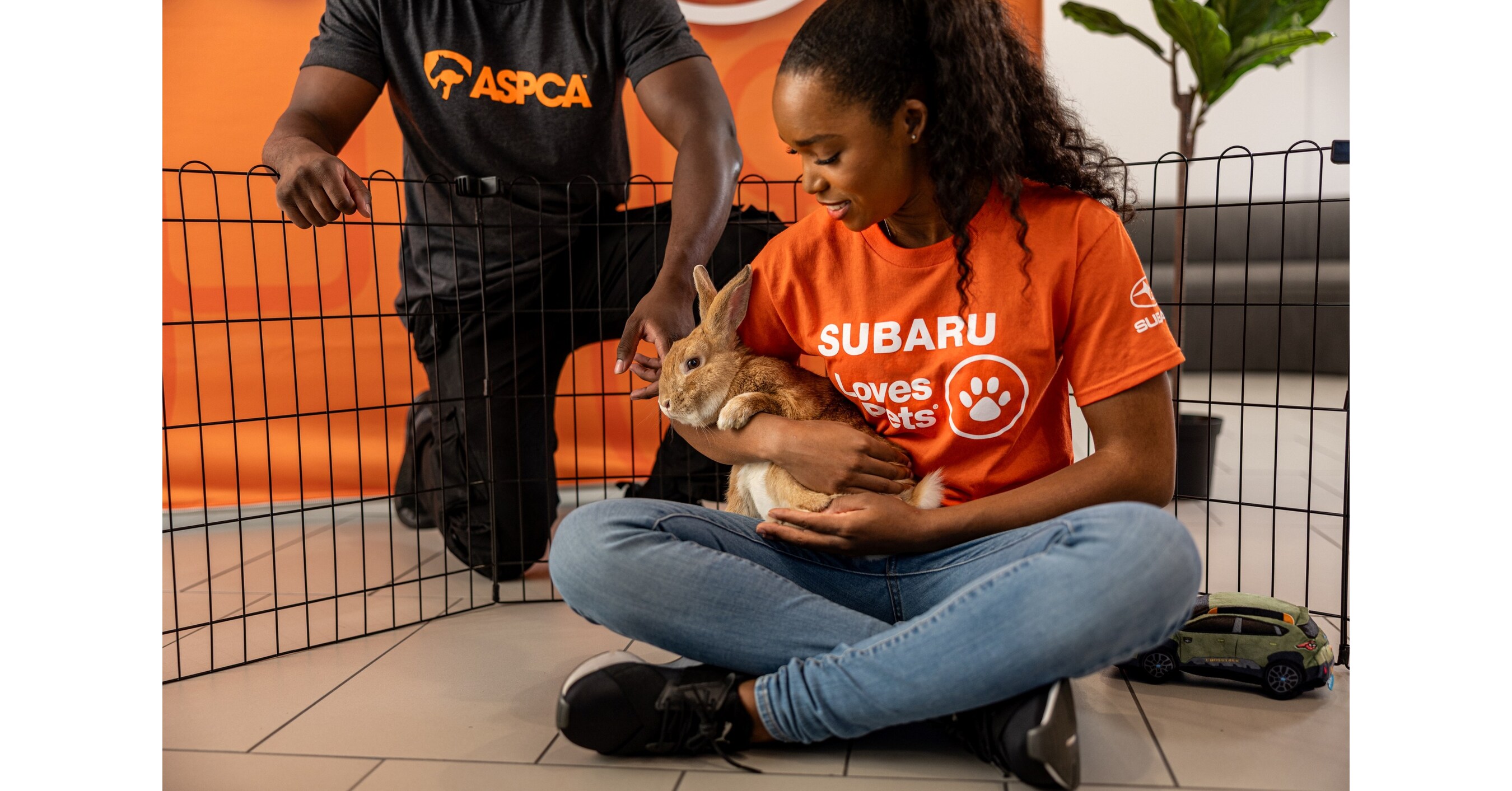 SUBARU COMMITS $3.1 MILLION TO HELP SHELTER ANIMALS THIS OCTOBER ...