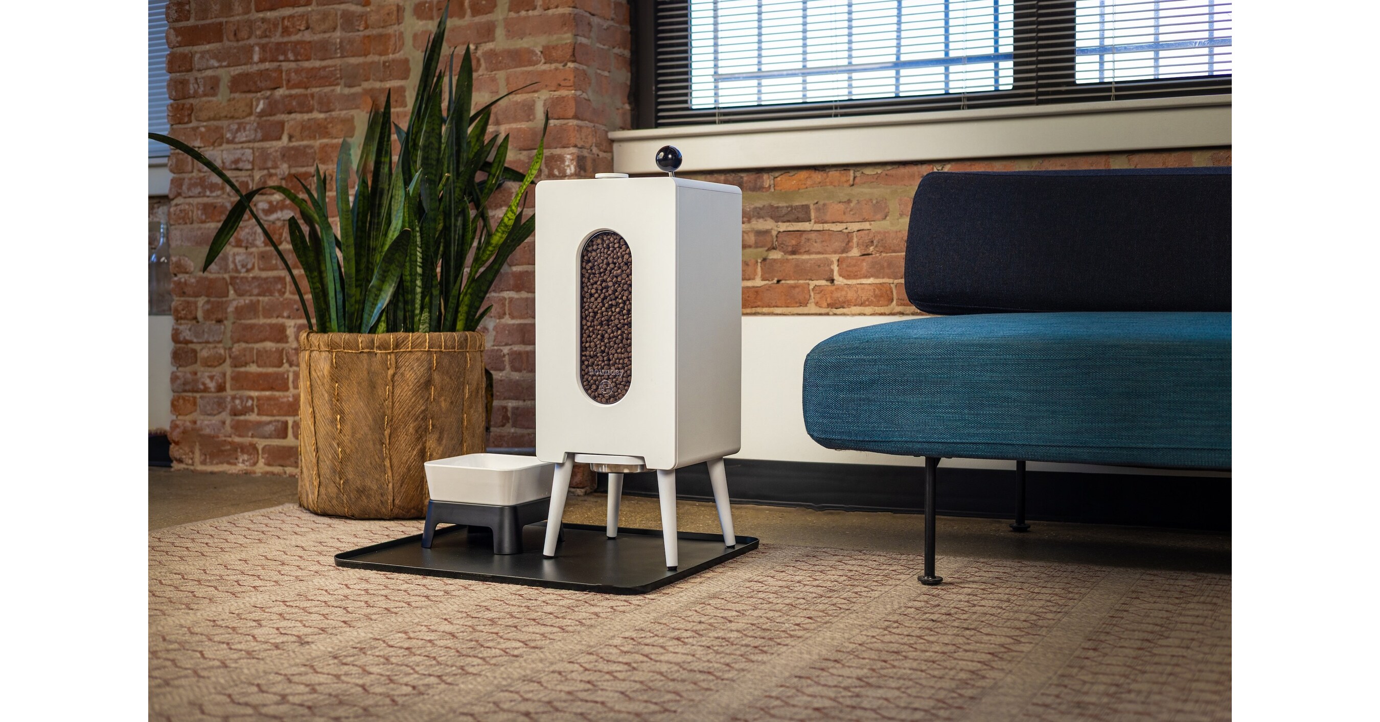 Houndsy Expands Its Lineup with New Essential Series Kibble Dispensers