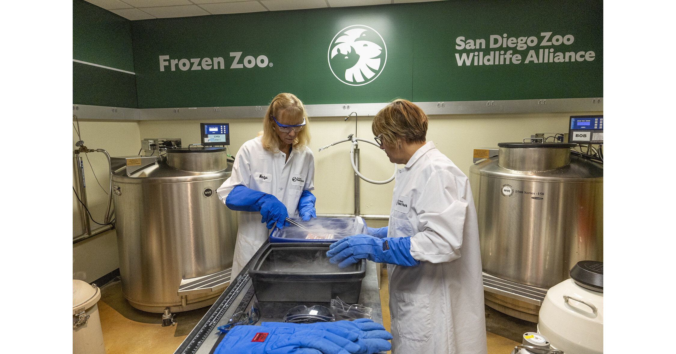 San Diego Zoo Wildlife Alliance Unveils Milestone Progress in Its ...