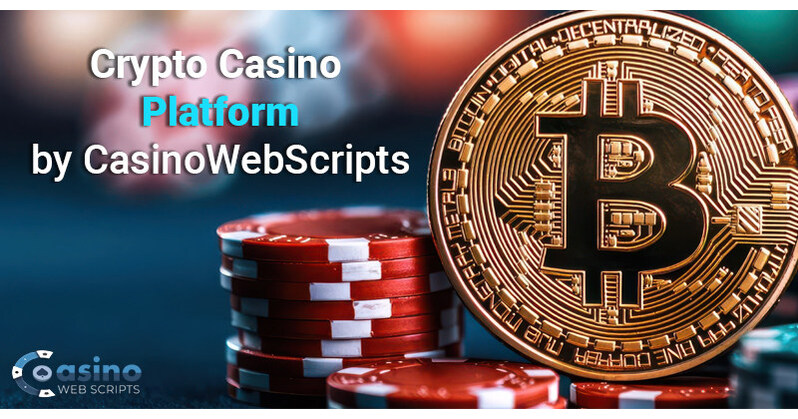 CasinoWebScripts Launches Revamped Crypto Casino Platform with Advanced ...