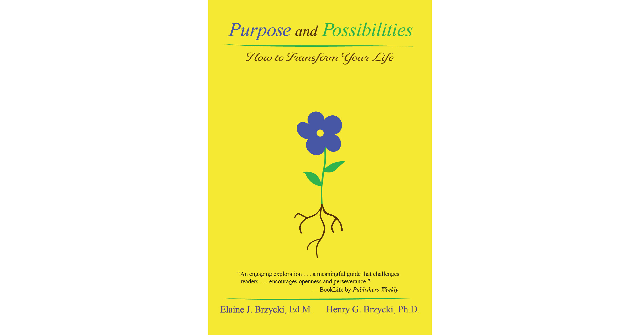The Brzycki Group's Positive Psychology Experts Announce a New Mental ...