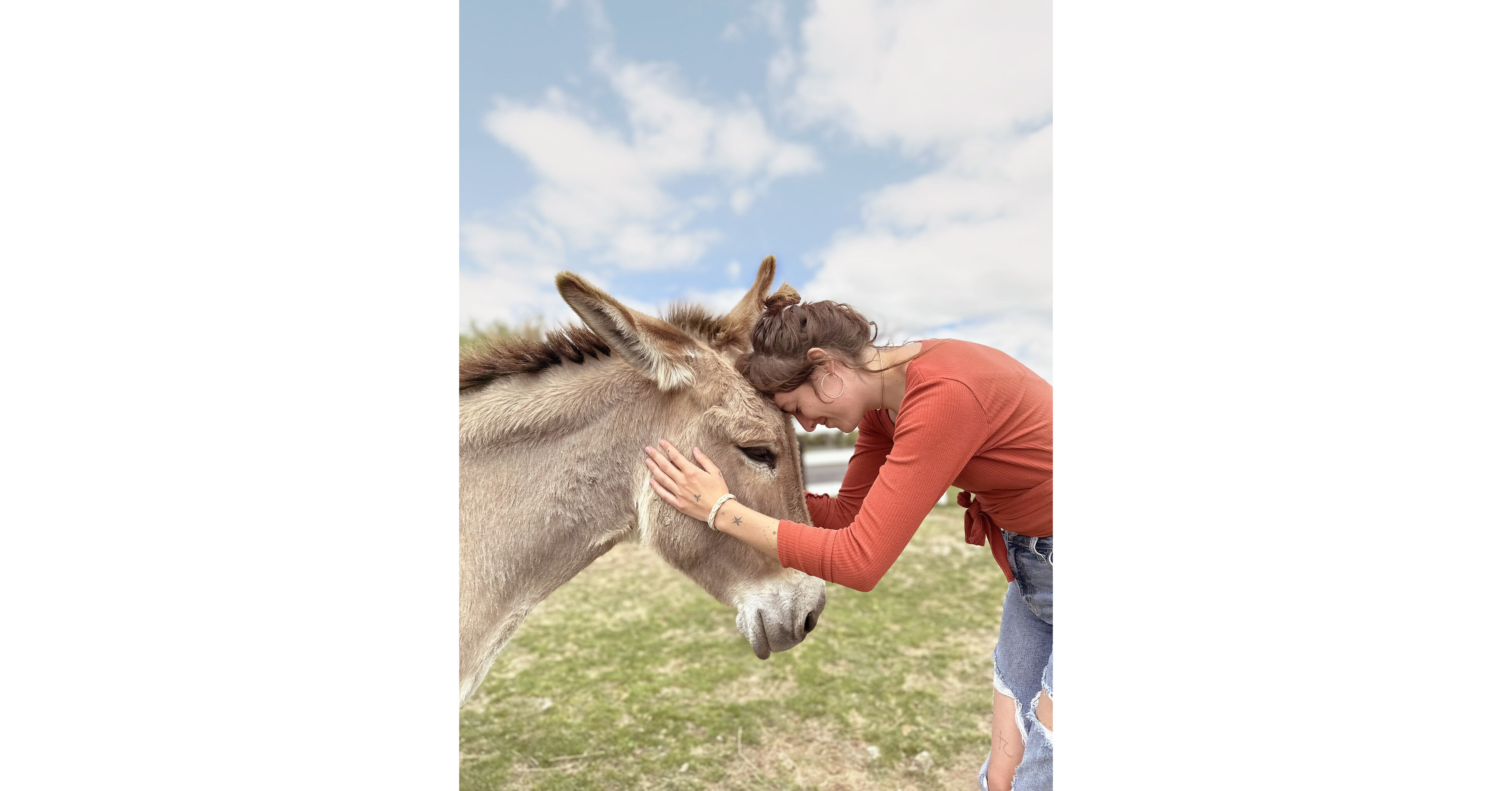 FarmHouse Fresh® Animal Sanctuary Earns Global Verification - Honored ...