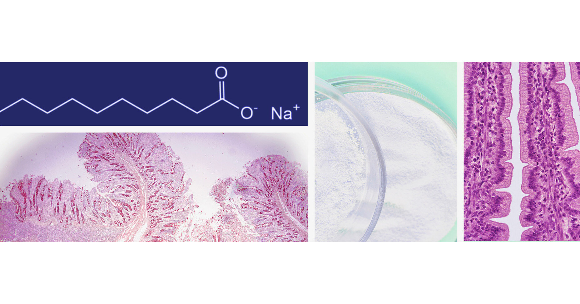 Advanced Powder Dynamics, a Tesseract Life Sciences Company, announces ...