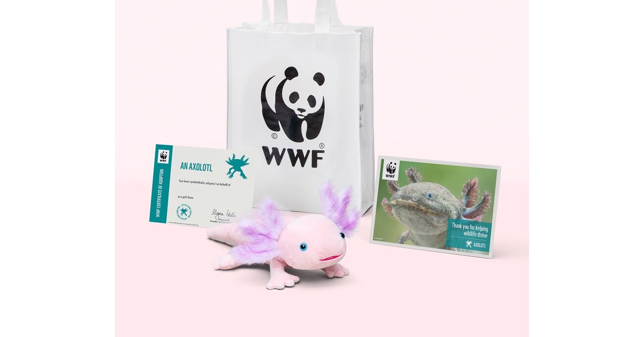 The axolotl and capybara join WWF-Canada's symbolic wildlife adoptions ...