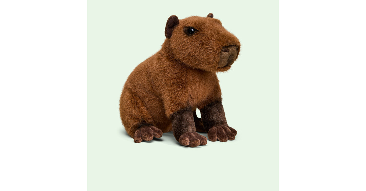 The axolotl and capybara join WWF-Canada's symbolic wildlife adoptions ...